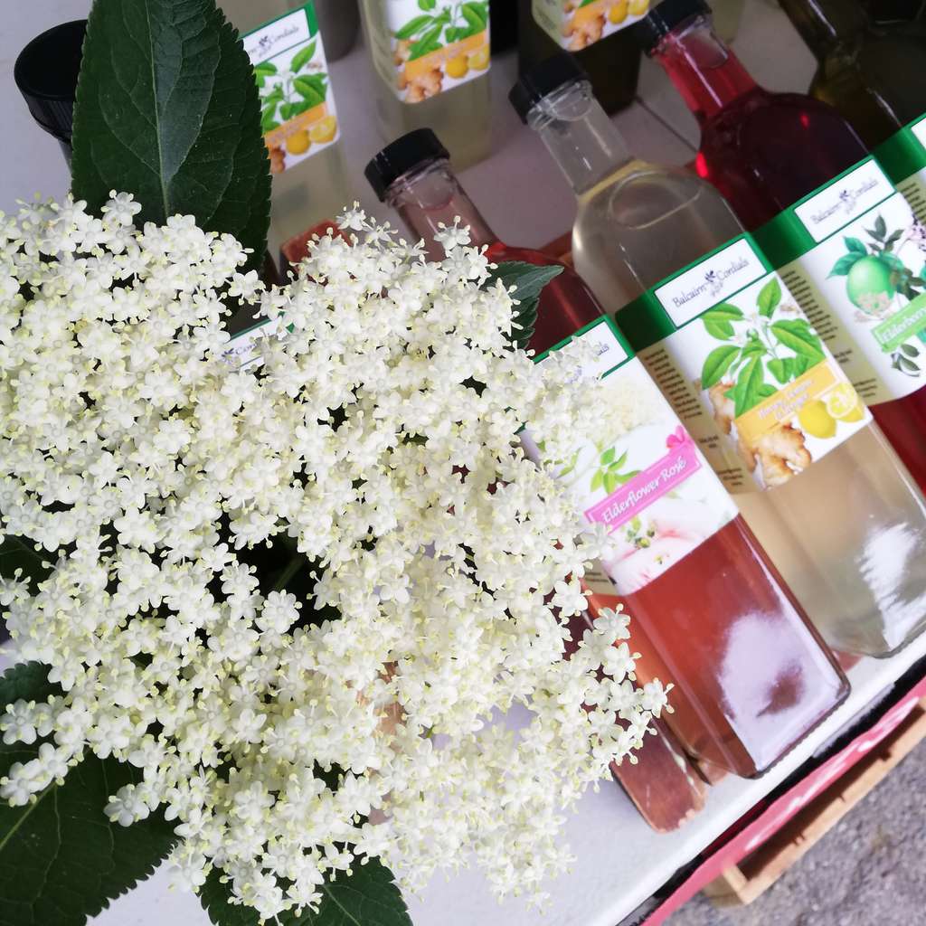 Amberley Farmers Market